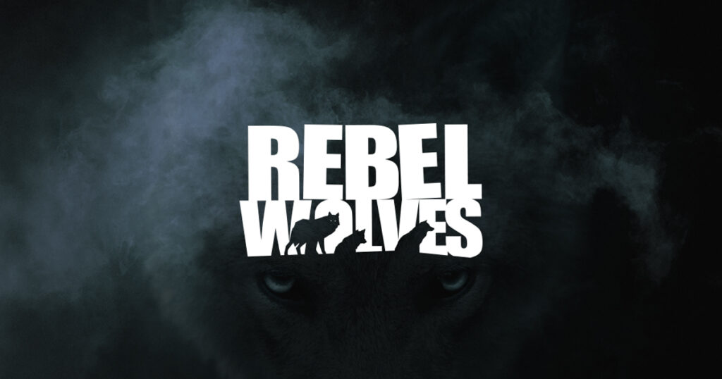 NetEase invests in Rebel Wolves, new studio started by The Witcher 3 ...